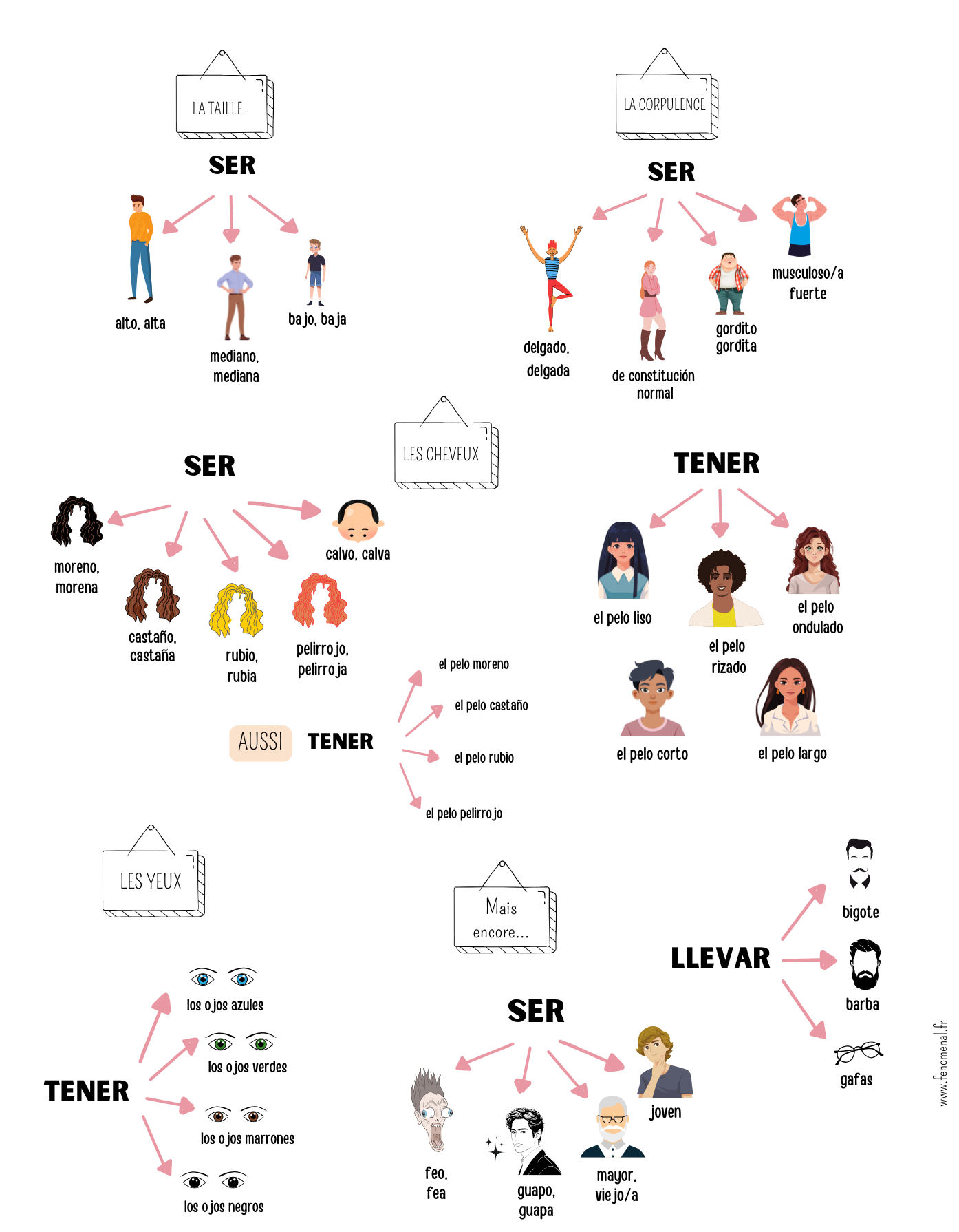 El vocabulario de la descripción – ¡Fenomenal!